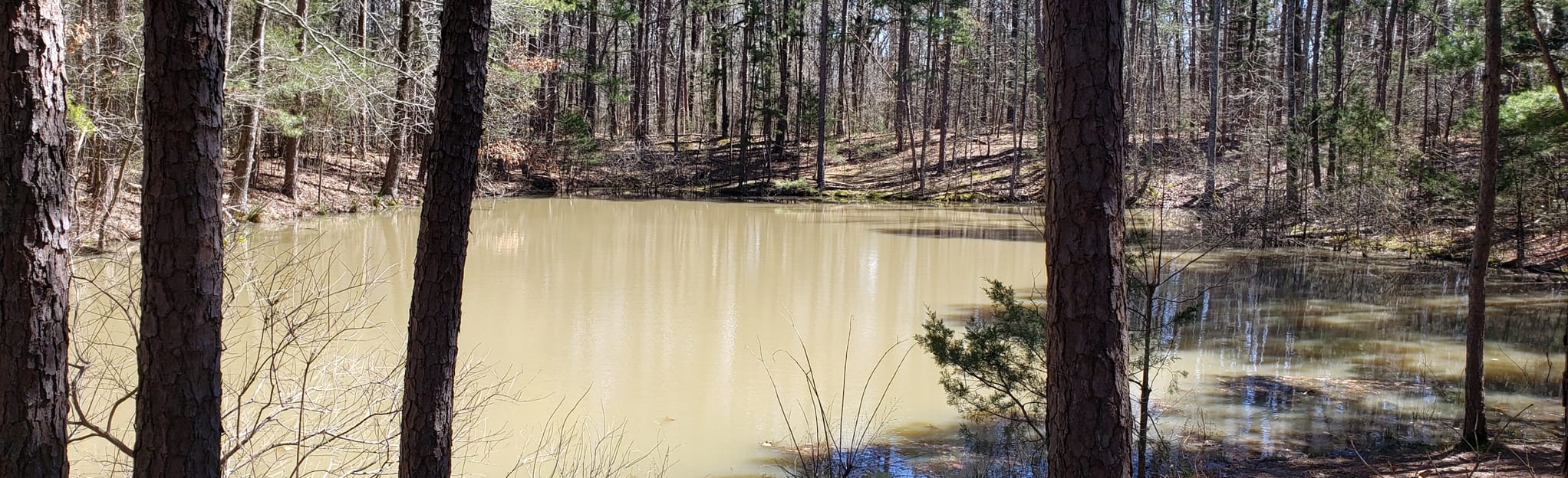 Hidden Pond Trail - Arkansas | AllTrails