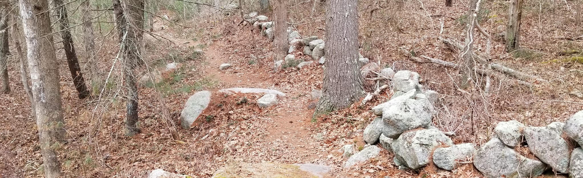 Mock Moraine: Athena's Path and Eaton Overlook, Massachusetts - 43 ...