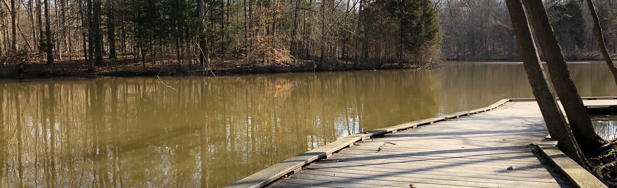 Limestone Steps via Geology Trail Loop: 964 foto's - Ohio | AllTrails