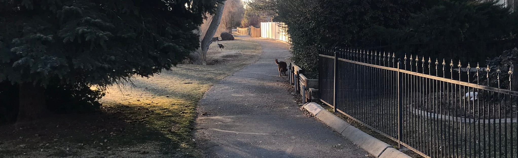 Wilson Trail, Idaho - 128 Reviews, Map | AllTrails