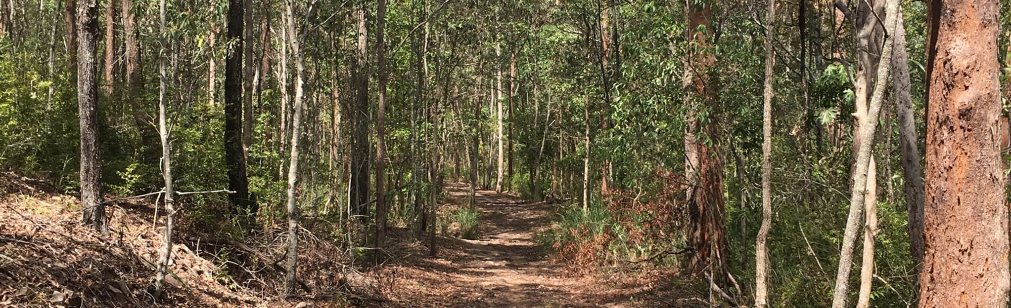 Mount Coot-tha Simpsons Falls Circuit: 233 Reviews, Map - Queensland ...