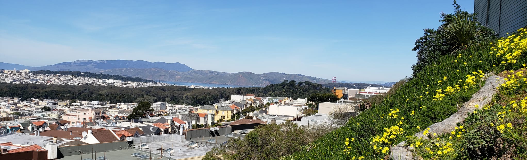 Moraga Steps: 97 Reviews, Map - California | AllTrails