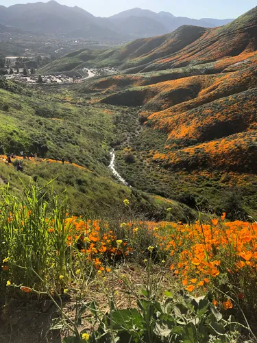 Best Hikes and Trails in Walker Canyon Ecological Reserve | AllTrails