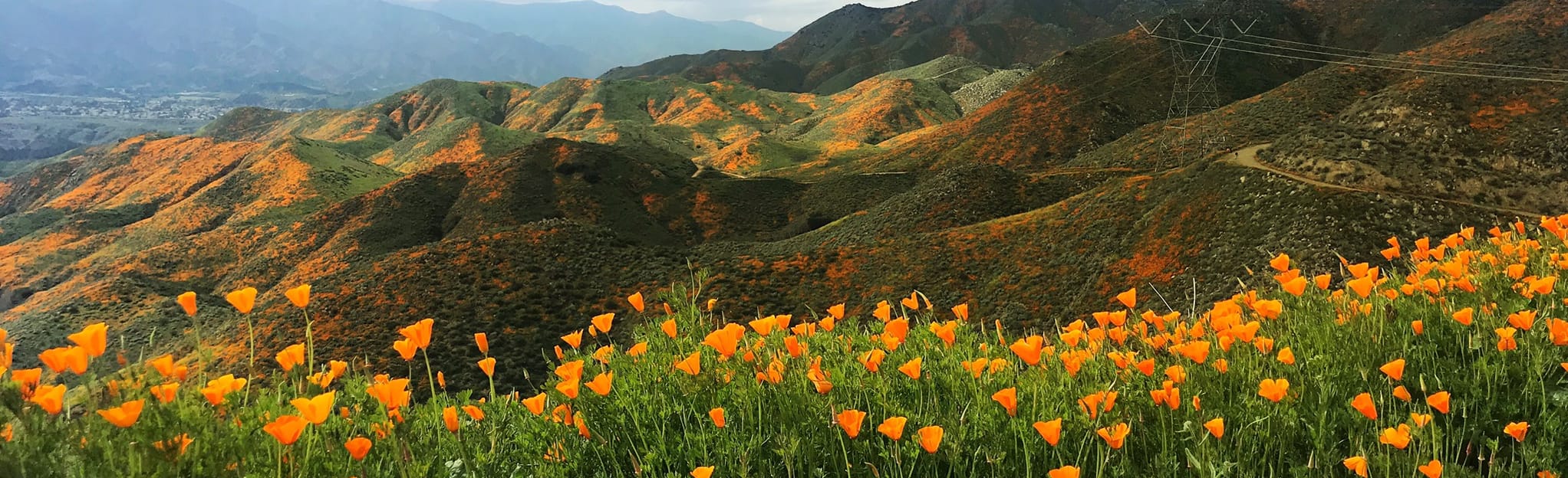 Walker Canyon Road Loop [CLOSED]: 361 Reviews, Map - California | AllTrails