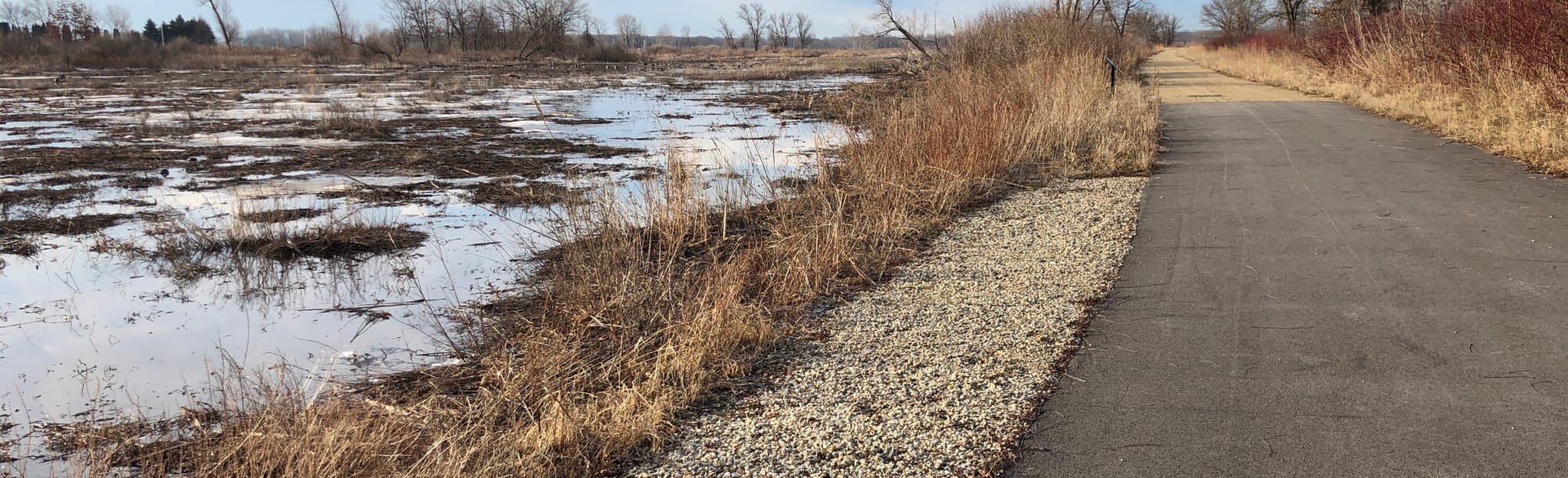 Spring Bluff Nature Preserve LCFP: 38 Reviews, Map - Illinois | AllTrails