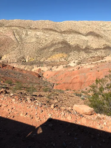 10 Best Off Road Driving Trails in Nevada | AllTrails