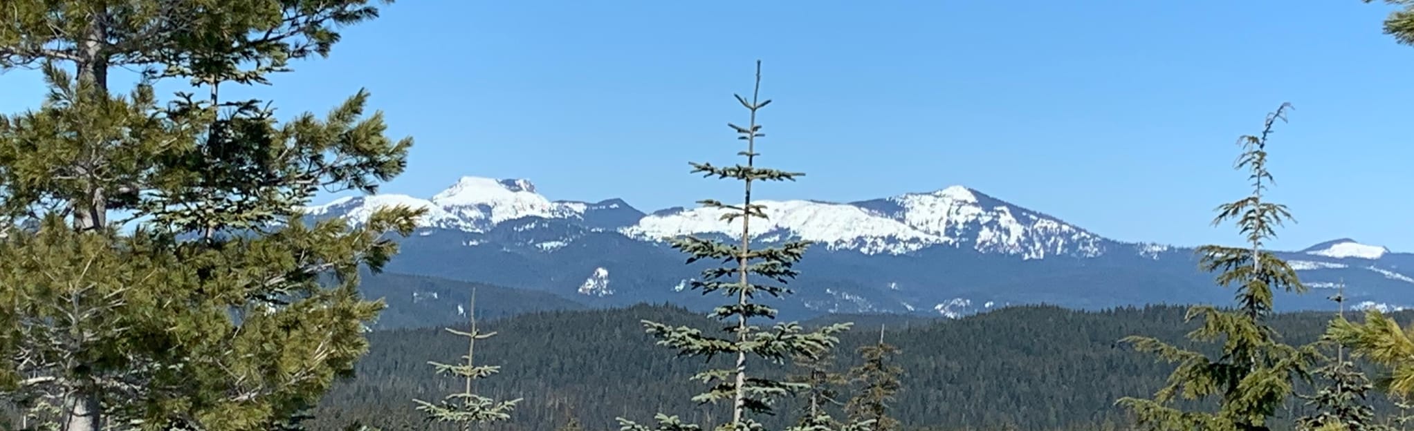 Maxwell Loop to Mountain View Shelter, Oregon - 109 Reviews, Map ...