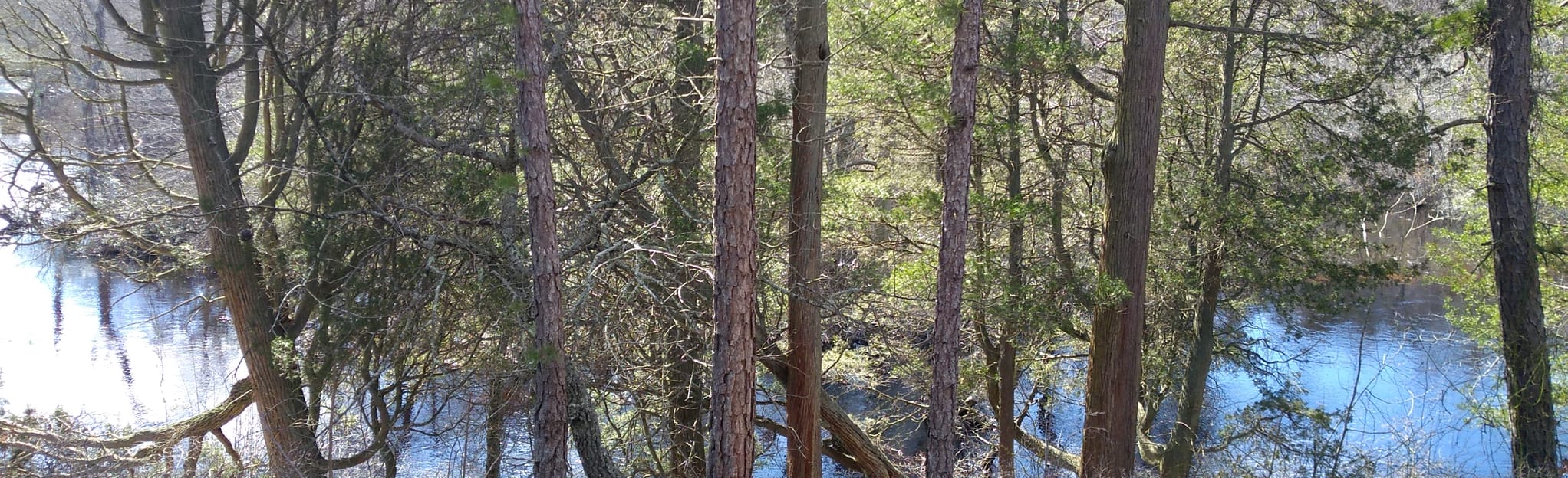 Lower Forge to Batona Trail to Goodwater Road Loop: 22 Reviews, Map ...