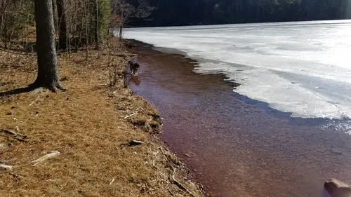 10 Best Trails and Hikes in Pine Grove | AllTrails