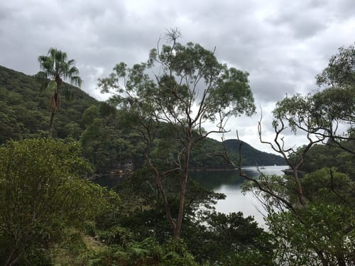 2023 Best 10 Walking Trails in Cowan | AllTrails