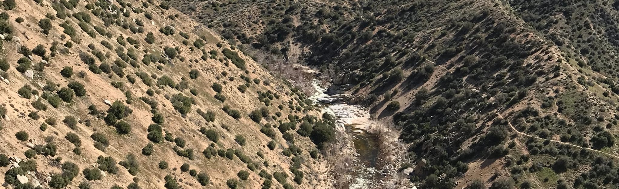 Deep Creek Hot Springs Trail: 1351 Reviews, Map - California | AllTrails