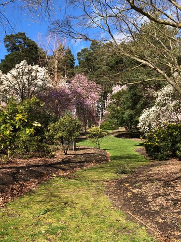 Best 10 Hikes and Trails in Windsor Great Park | AllTrails