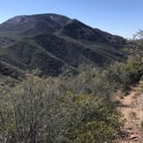 Rogers Canyon Loop Trail from Reavis Trailhead, Arizona - 15 Reviews ...