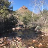 Rogers Canyon Loop Trail from Reavis Trailhead, Arizona - 15 Reviews ...