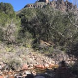 Rogers Canyon Loop Trail from Reavis Trailhead, Arizona - 15 Reviews ...