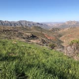 Rogers Canyon Loop Trail from Reavis Trailhead, Arizona - 15 Reviews ...