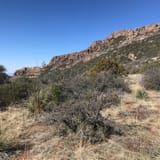 Rogers Canyon Loop Trail from Reavis Trailhead, Arizona - 15 Reviews ...