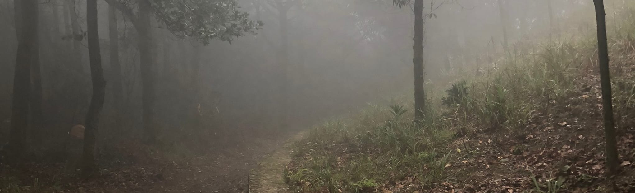 Mount Luofu Trail: 16 foto's - Guangdong, China | AllTrails