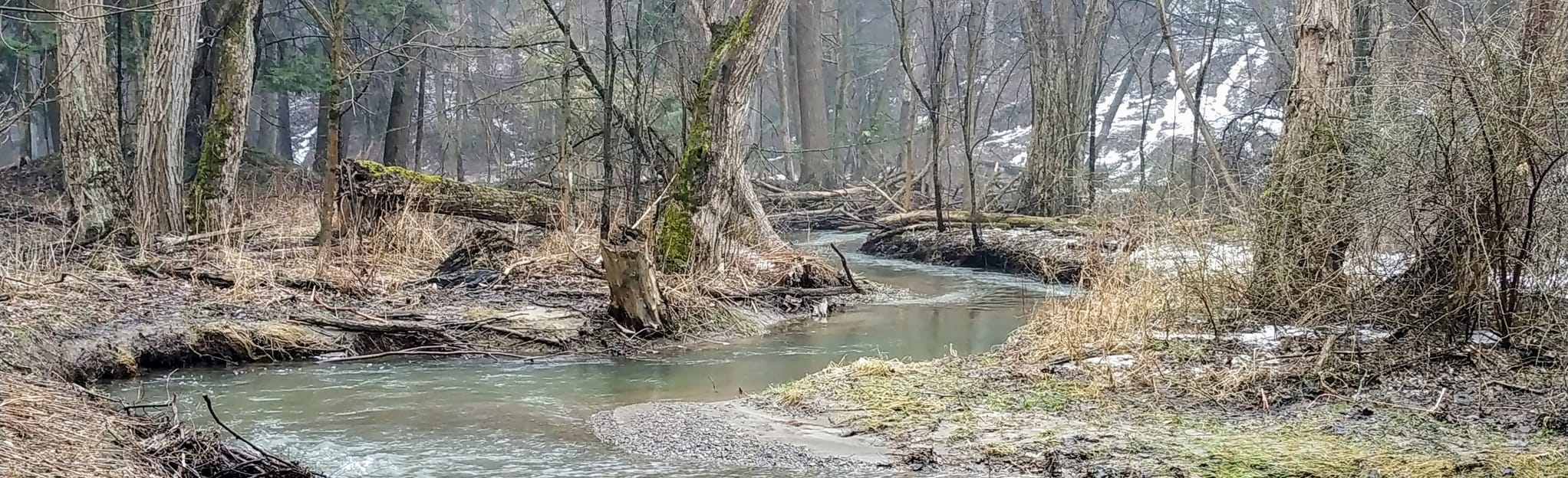 Reforestation, Monarch and Sulphur Loop, Ontario, Canada - 129 Reviews ...