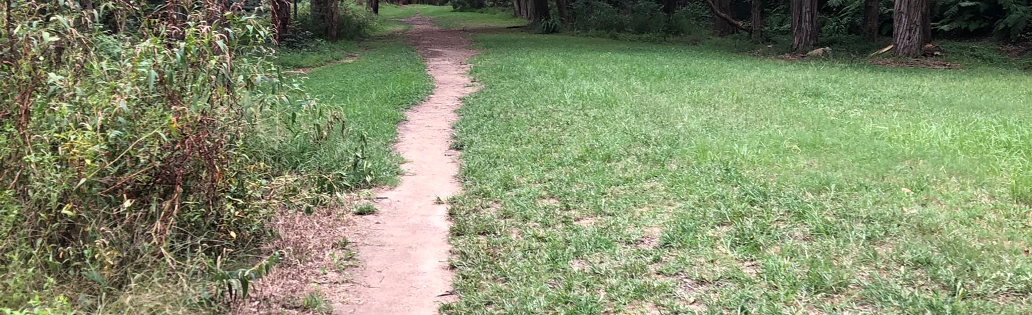 Burns Bay Reserve and Tennyson Park: 23 Reviews, Map - New South Wales ...