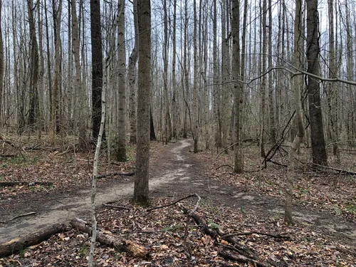 Best Hikes and Trails in Bacon Ridge Natural Area | AllTrails