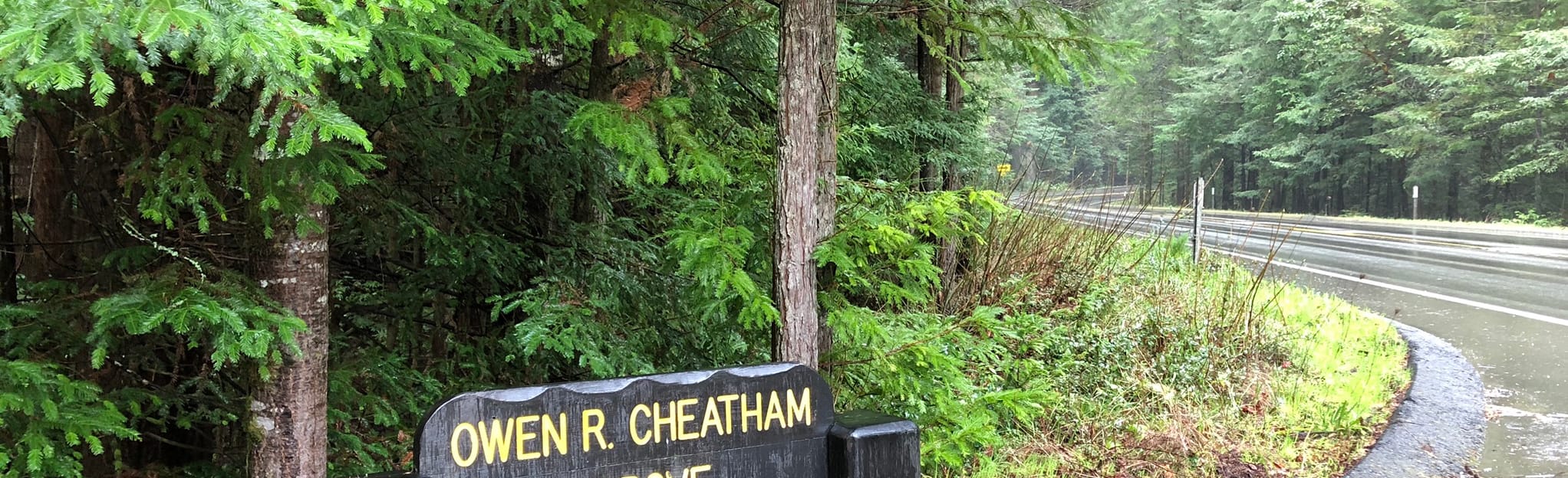 Cheatham Grove Trail: 82 Reviews, Map - California | AllTrails