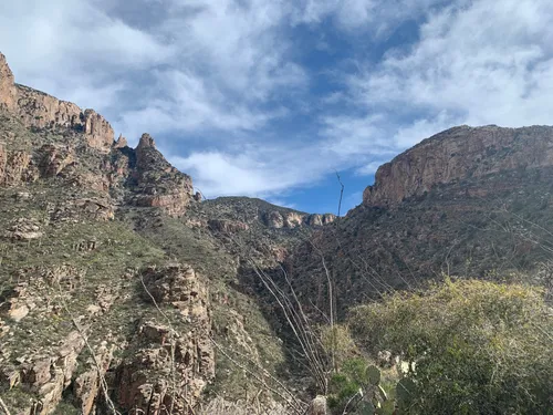 10 Best Camping Trails in Pusch Ridge Wilderness | AllTrails