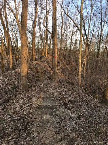 Best Hikes and Trails in Interlake Off-Road State Recreation Area ...