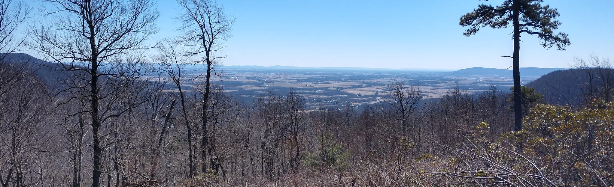 Hogback Mountain via Charcoal Trail, Pennsylvania - 30 Reviews, Map ...