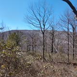 Hogback Mountain via Charcoal Trail, Pennsylvania - 37 Reviews, Map ...