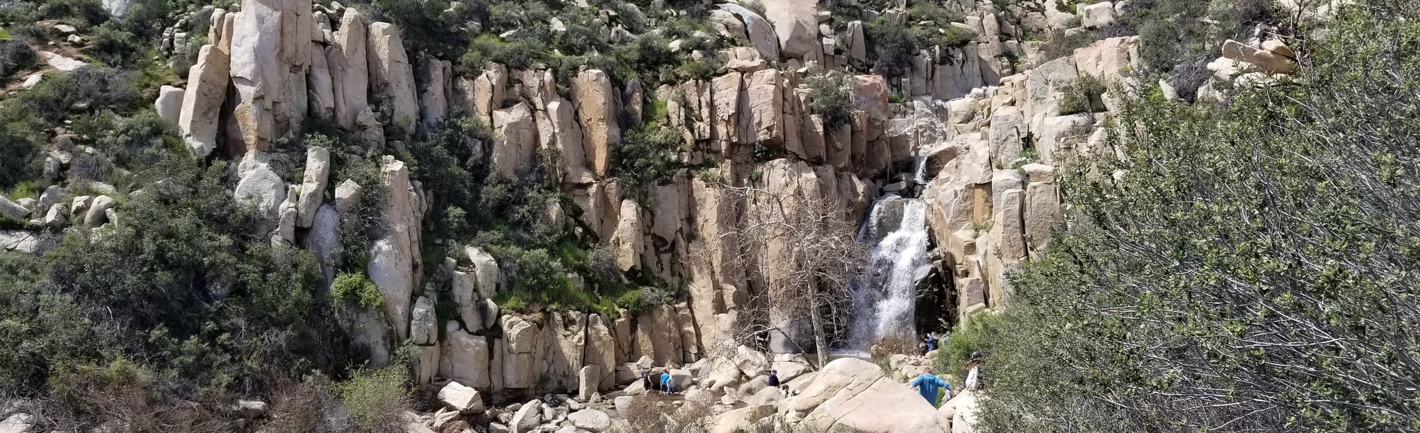 Ortega Falls Ridge Loop, California - 107 Reviews, Map | AllTrails