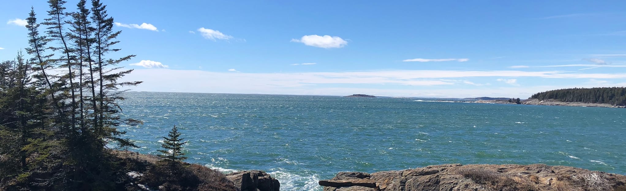 Hermit Island Loop, Maine - 247 Reviews, Map | AllTrails