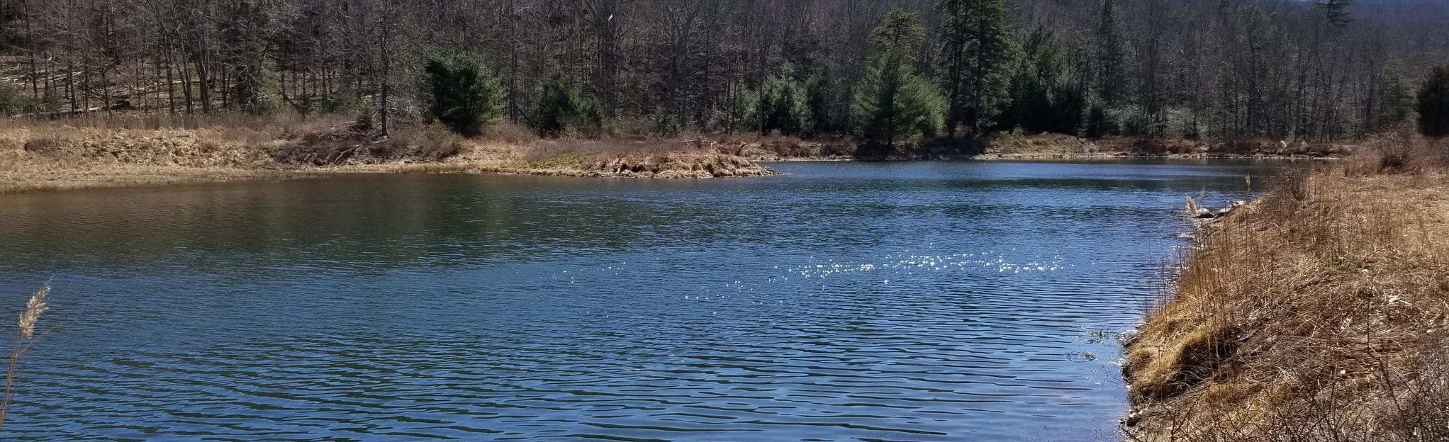 Coventry Pond Trail, New Jersey - 29 Reviews, Map | AllTrails