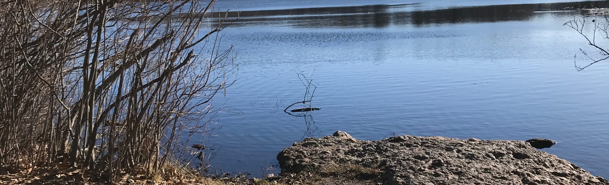 Hammond Pond and Webster East | Map, Guide - Massachusetts | AllTrails