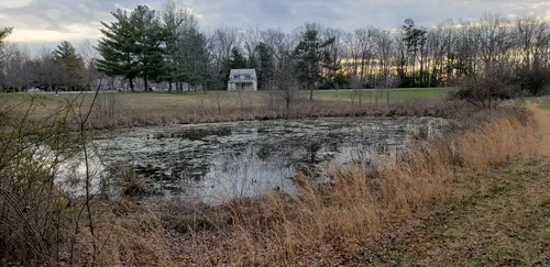 Best Hikes and Trails in Scott State Forest | AllTrails