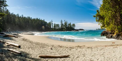 10 Best Hikes and Trails in Pacific Rim National Park Reserve | AllTrails