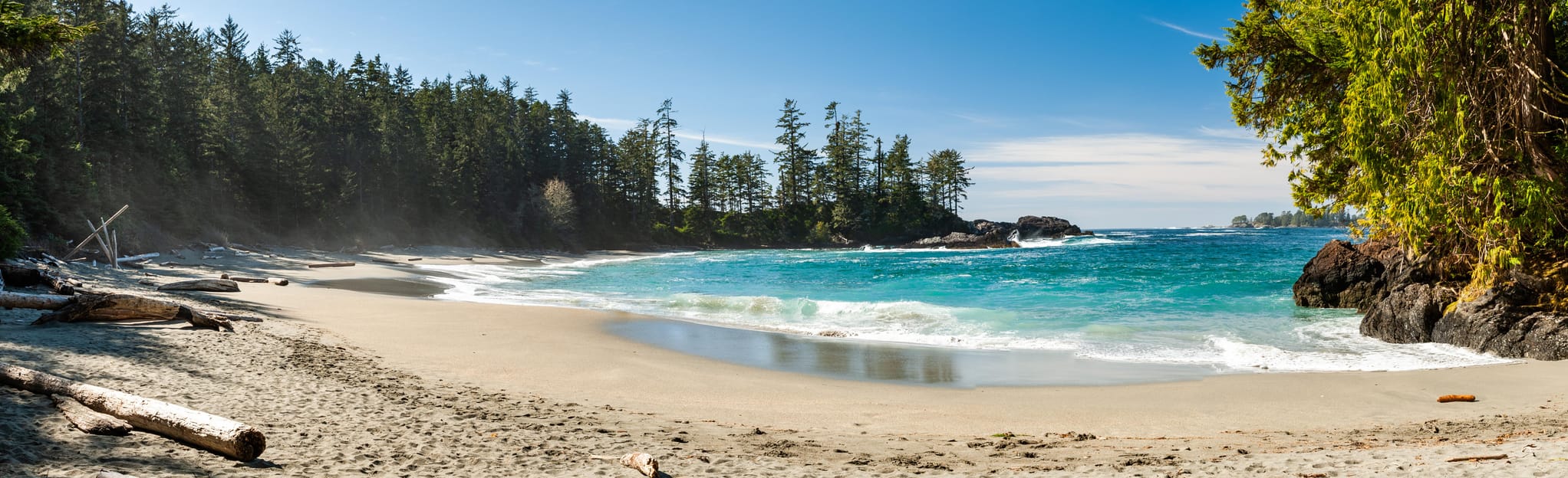 Willowbrae Trail: Florencia Beach and Half Moon Bay: 434 fotos ...