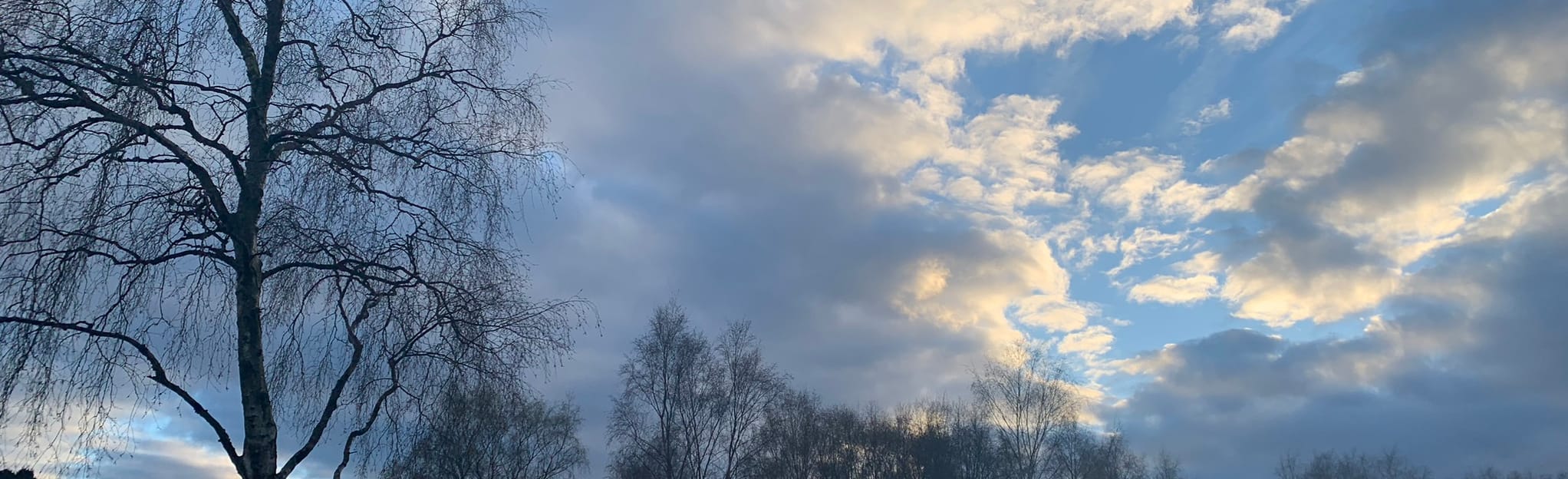 Sutton Park and Keepers Pool Circular: 15 Reviews, Map - West Midlands ...