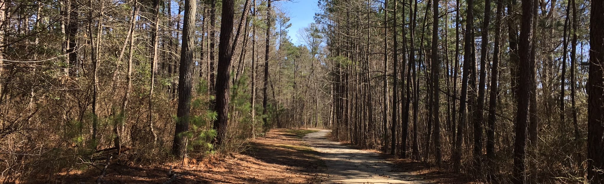 AllTrails | Ironbridge Park Loop: 196 Reviews, Map - Virginia