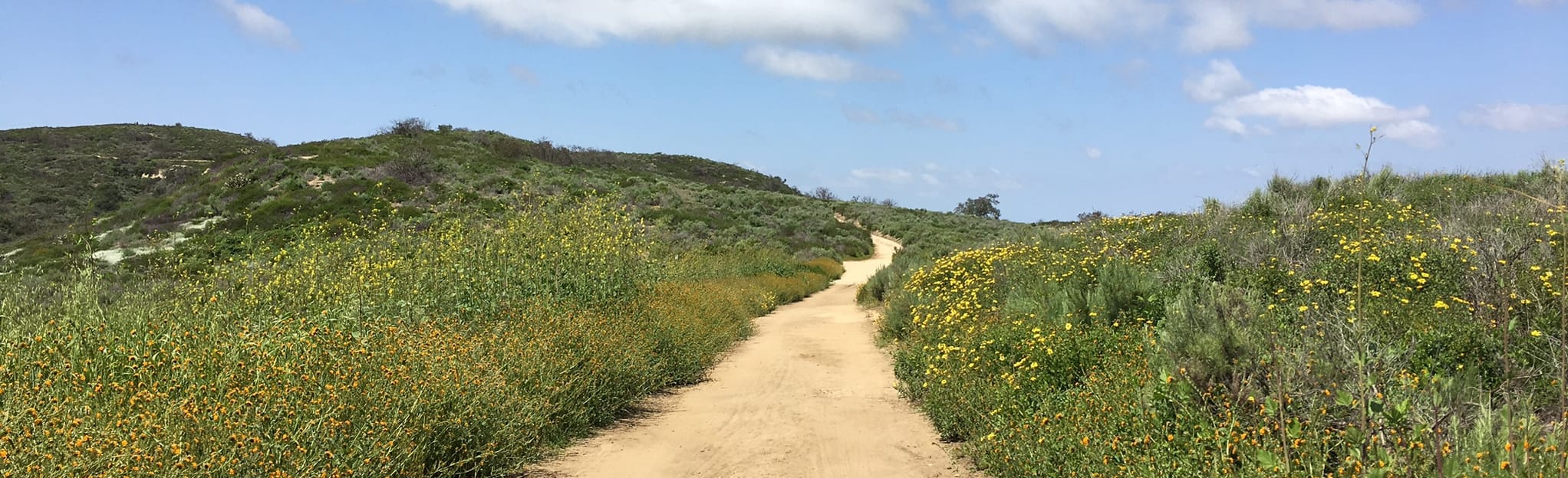 Bommer Ridge, Old Emerald and Emerald Canyon Road Loop: 320 Reviews ...