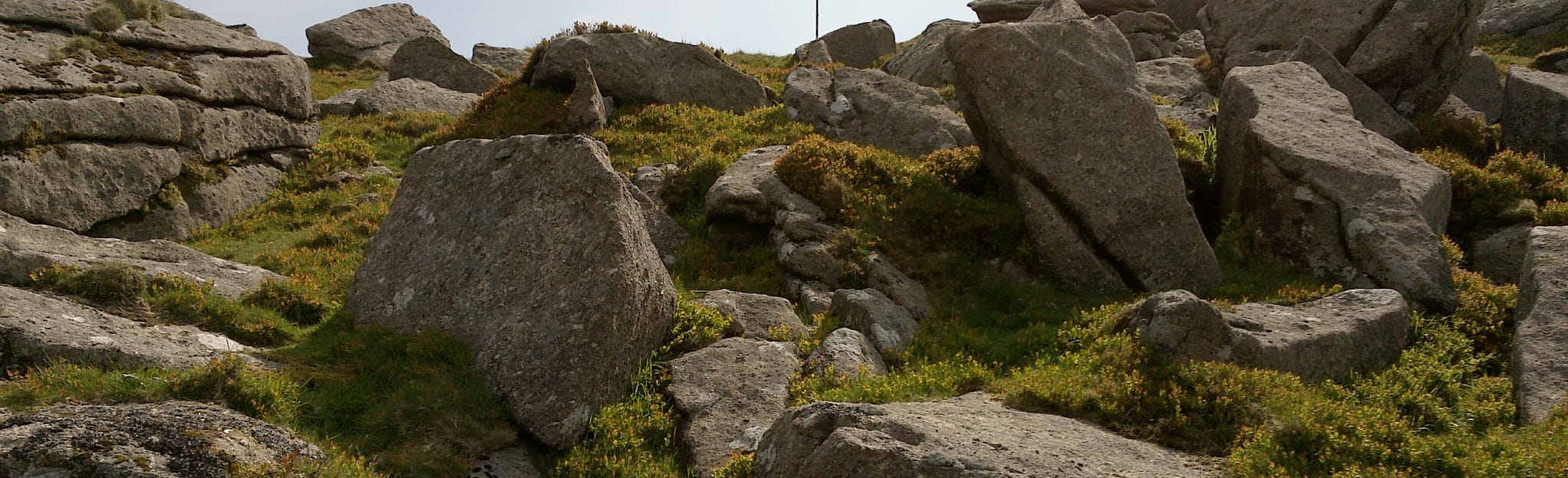 Ten Tors Circular Walk | Map, Guide - Devon, England | AllTrails