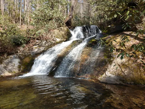 Best Walking Trails in Collettsville | AllTrails