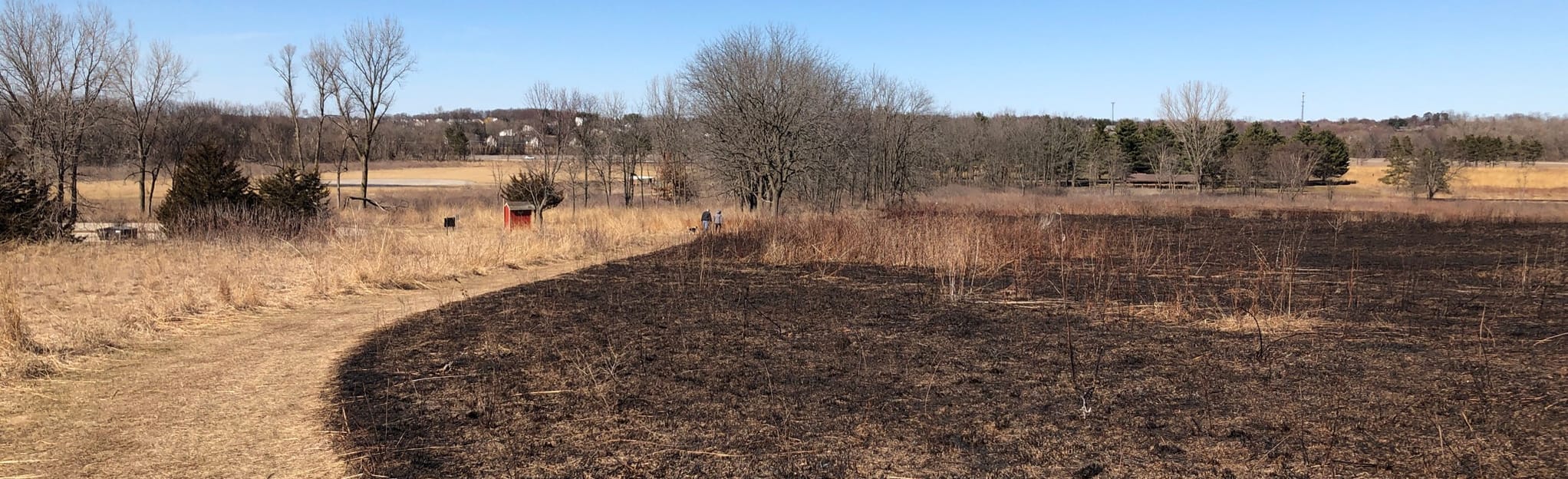 Kieselburg Forest Loop: 64 Reviews, Map - Illinois | AllTrails