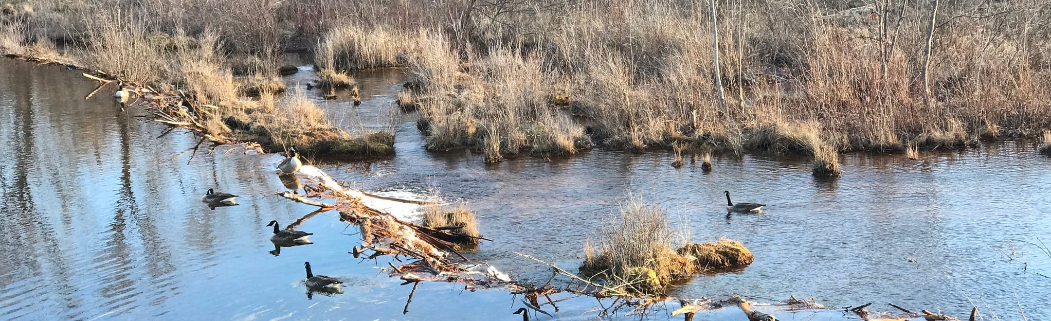 Lackawanna River Heritage Path: 213 Reviews, Map - Pennsylvania | AllTrails