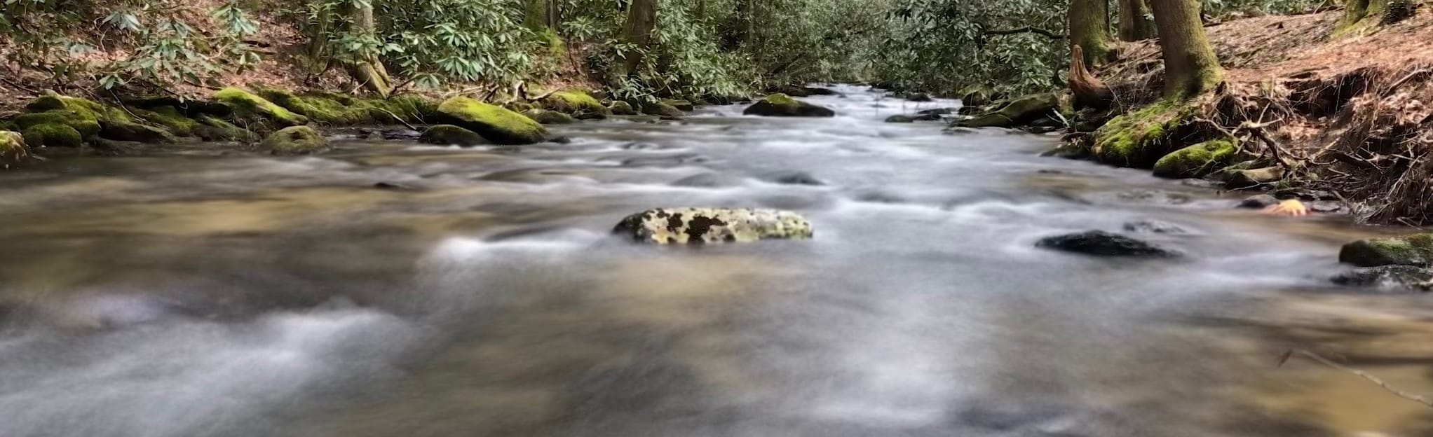 Three Forks Loop via Appalachian and Benton Mackaye Trail : 1.147 fotos ...