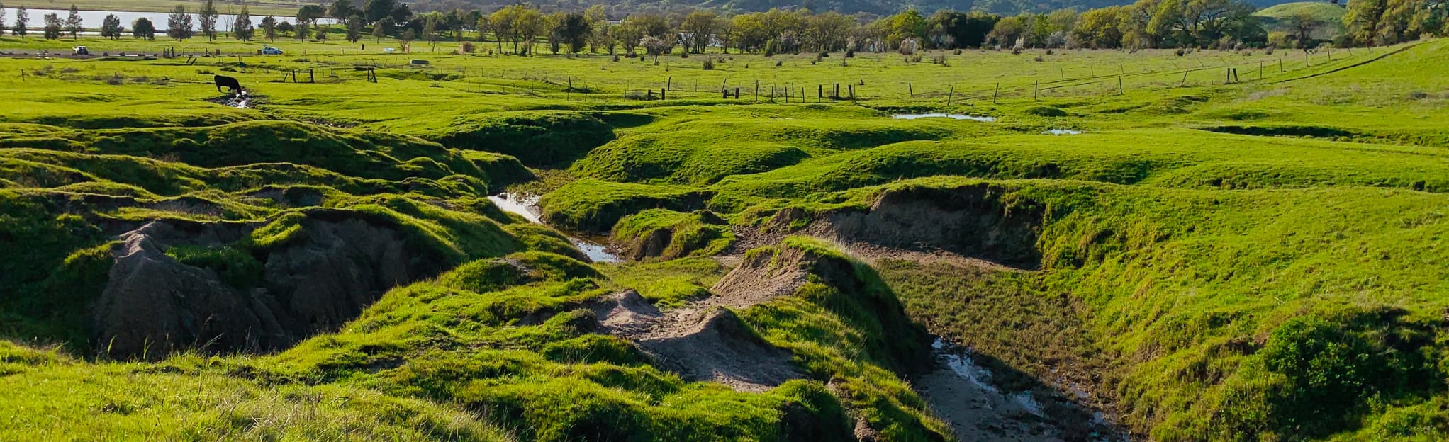 Lagoon Valley Park Mtb Trail: 533 Reviews, Map - California | AllTrails