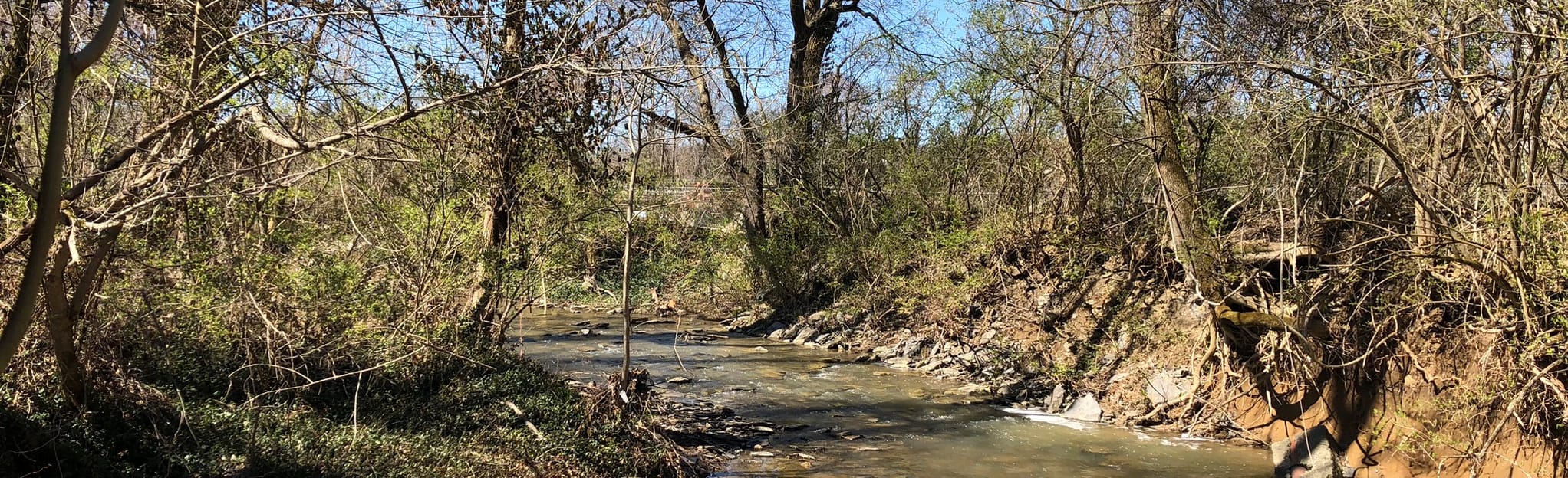 John B. Stephenson Memorial Trail, Kentucky - 104 Reviews, Map | AllTrails