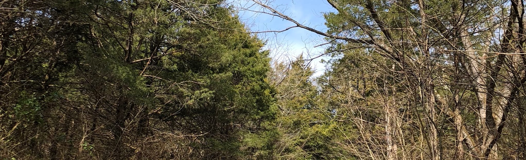OTC Richwood Valley Campus Trail, Missouri - 123 Reviews, Map | AllTrails