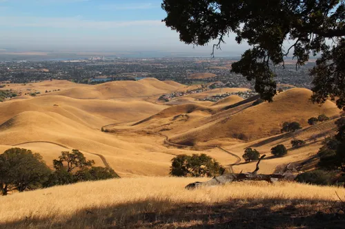 2023 Best 10 Trails and Hikes in Castro Valley | AllTrails