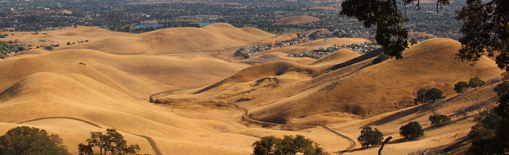 Aaron Alcorn Castro Valley to Brentwood Memorial Trail: 8 Reviews, Map ...